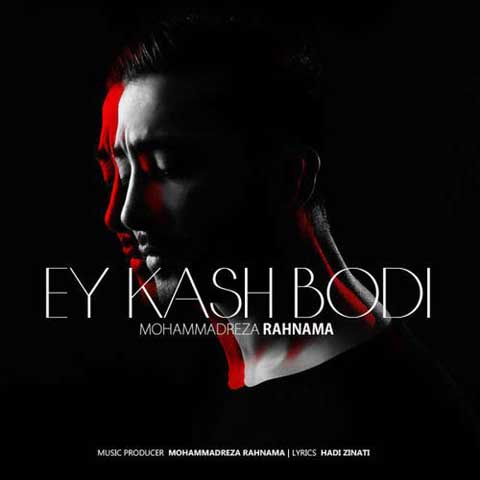 دانلود آهنگ محمدرضا رهنما ای کاش بودی - موزیک اسکای